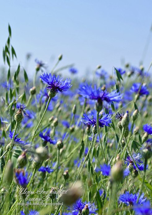 Отправлено через https://fotostrana.ru/away?to=/sl/KE2 | Наталья ...