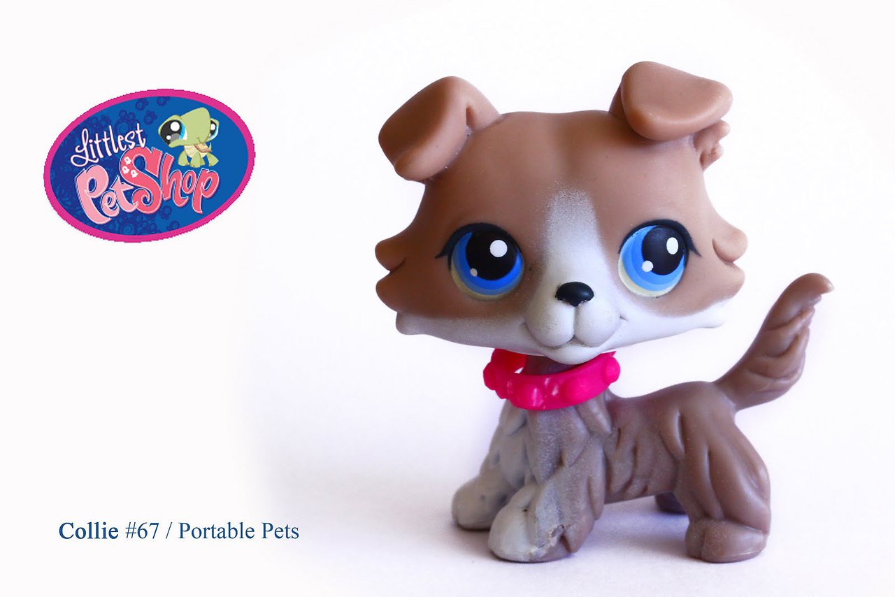 Littlest Pet Shop опубликовал пост от 21 августа 2016 в 12:34 ...