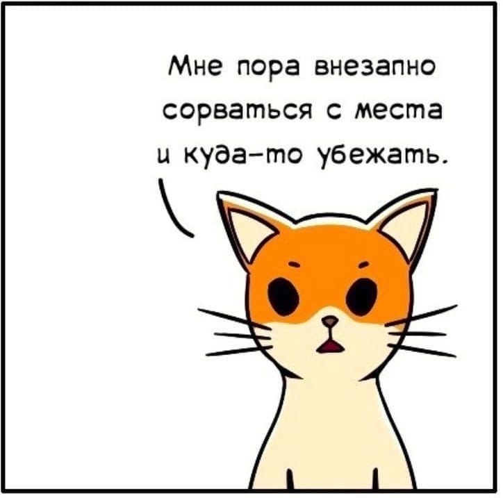 Домашние животные ещё те изобретали. | МЫСЛИ НА МИЛЛИОН | Фотострана ...
