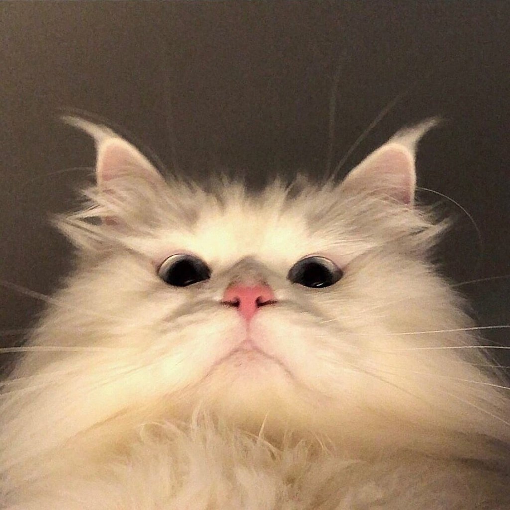 Когда решил сделать красивое селфи Нечто большее Фотострана Пост №2572662438