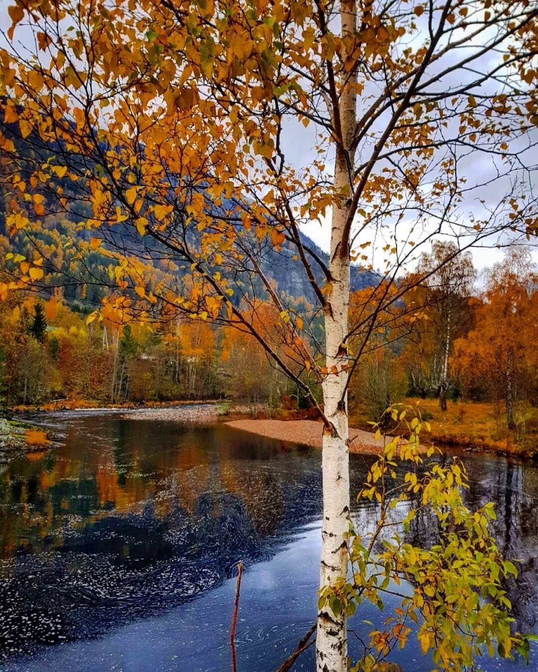 Evgen Evgen опубликовал пост от 13 ноября 2023 в 21:53 | Фотострана | Пост №2640570079